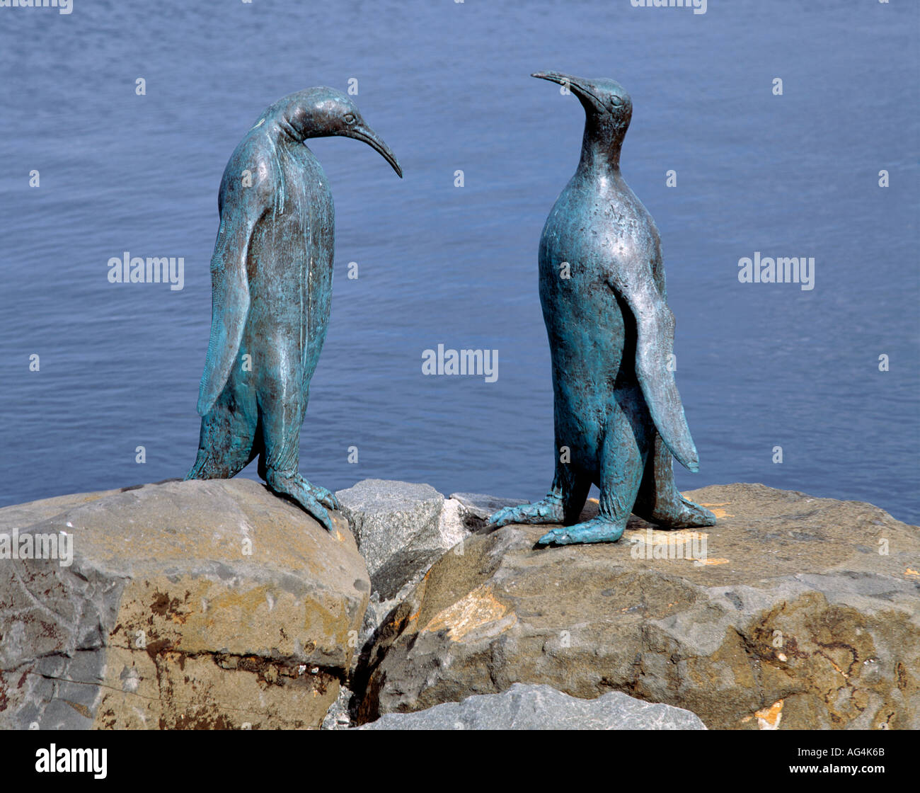Australia tasmania penguin statue hi-res stock photography and images ...
