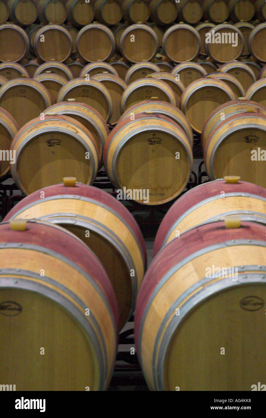 The barrel room of Ysios's state of the art vinification plant, La ...