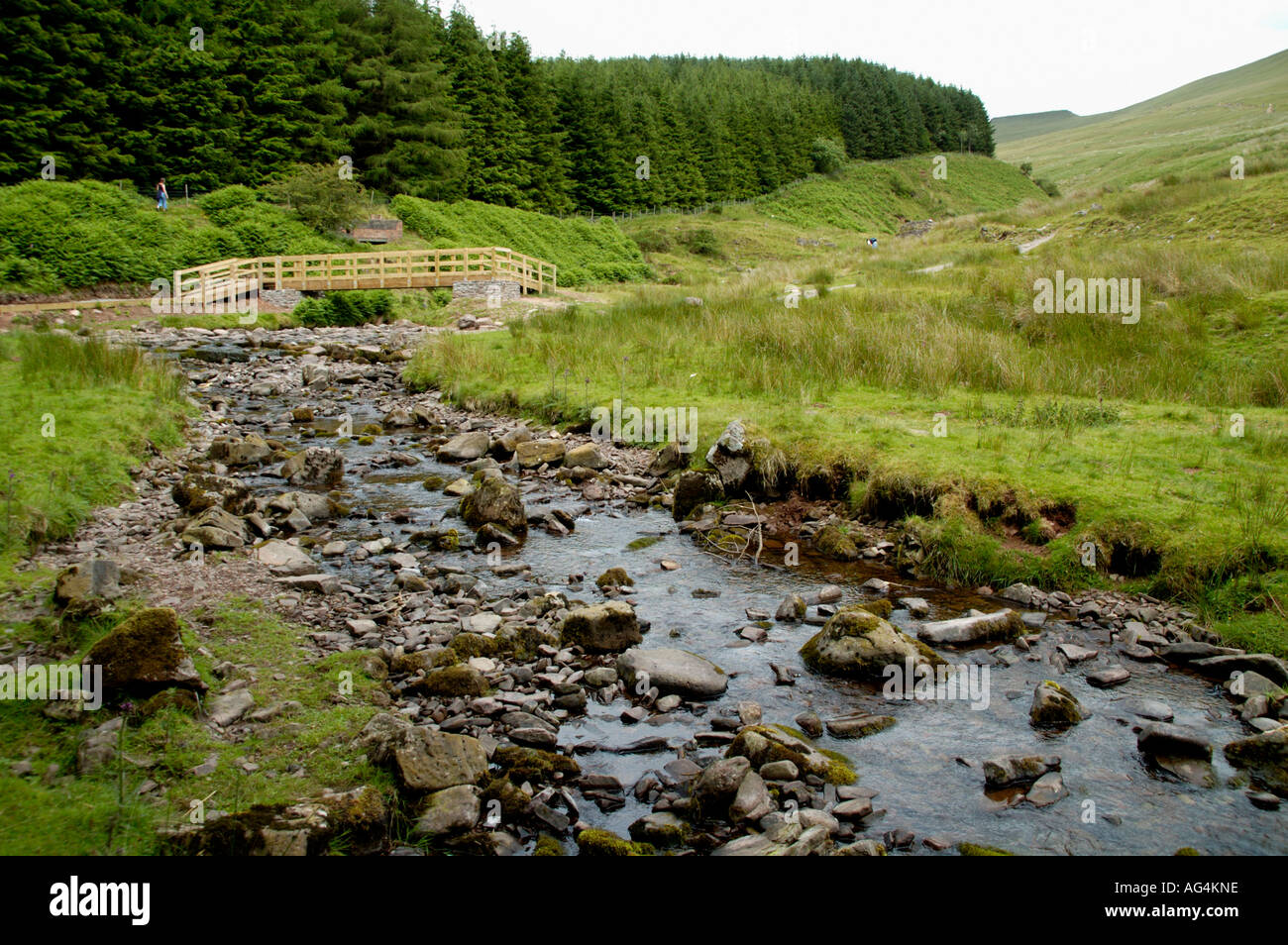 Wooden bridge over stream on Beacons Way walking route to Pen y Fan ...