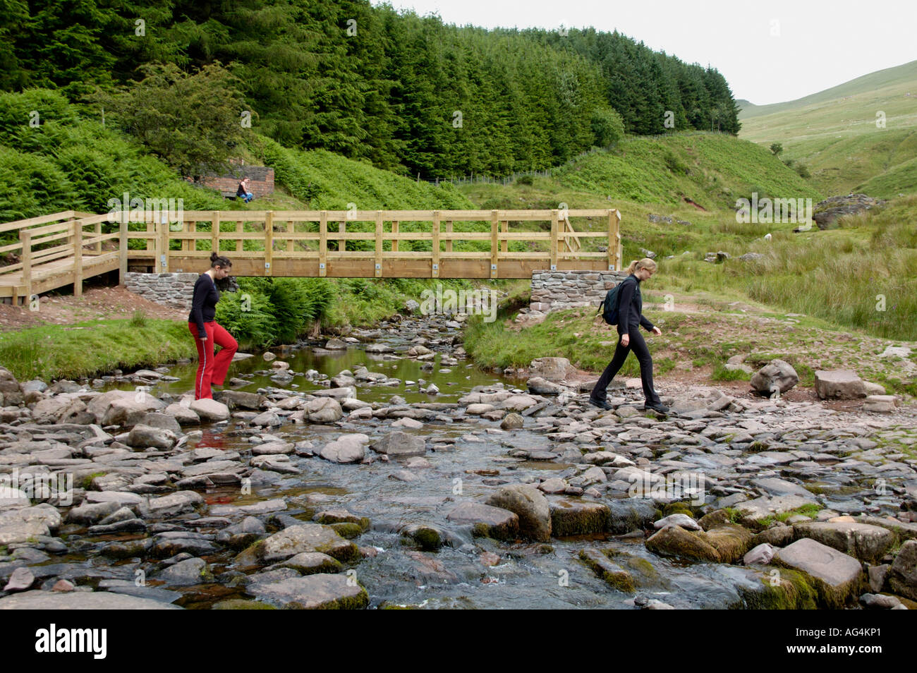 Wooden bridge over stream on Beacons Way walking route to Pen y Fan ...