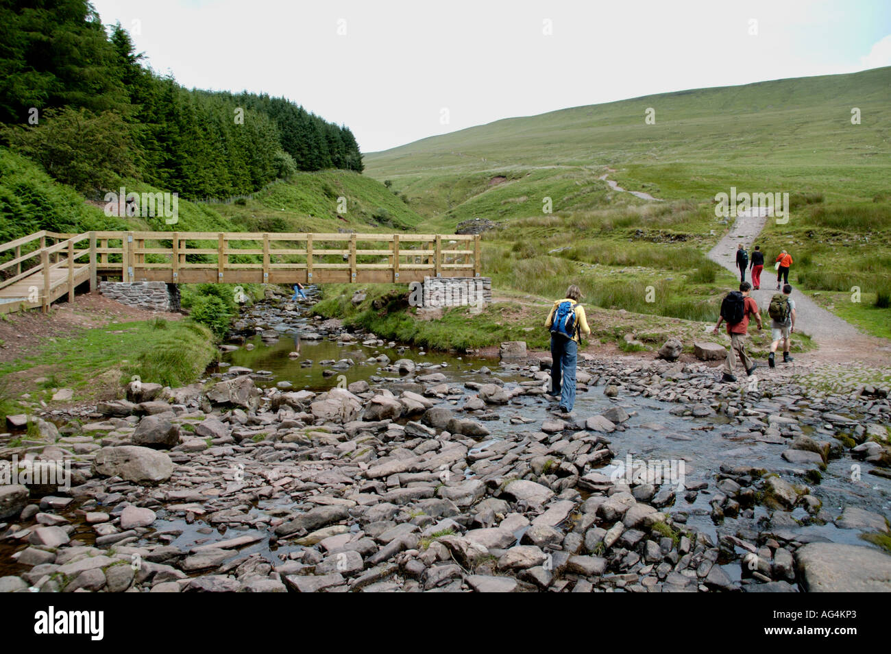 Wooden bridge over stream on Beacons Way walking route to Pen y Fan ...