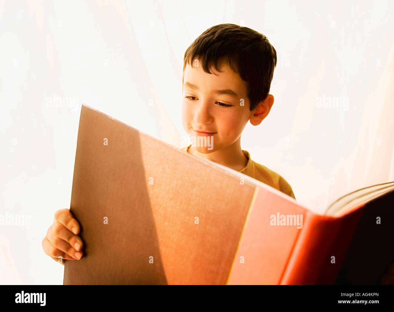 Boy reading a book Stock Photo - Alamy