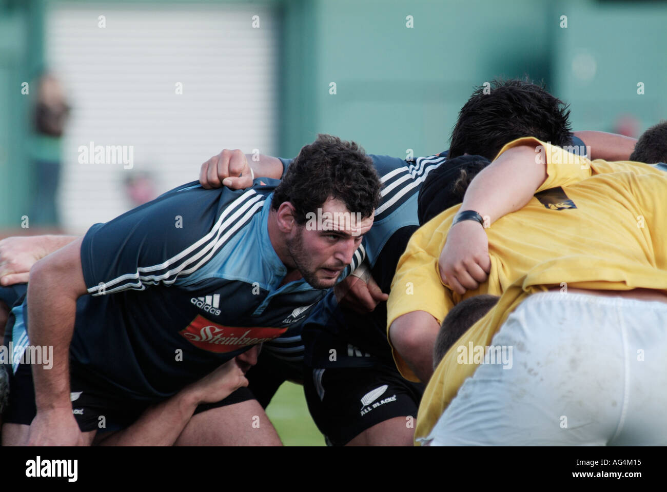 Carl hayman new zealand hi-res stock photography and images - Alamy