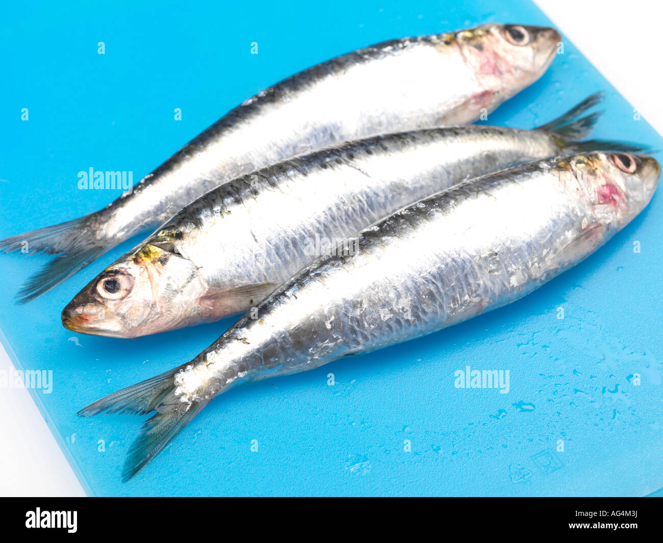 Heads of sardines hi-res stock photography and images - Alamy