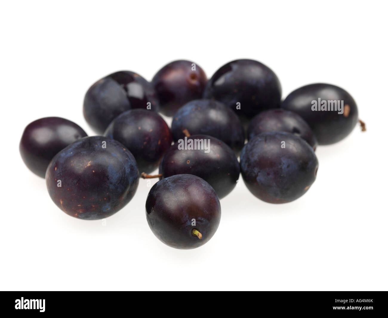 Damsons fruit hi-res stock photography and images - Alamy