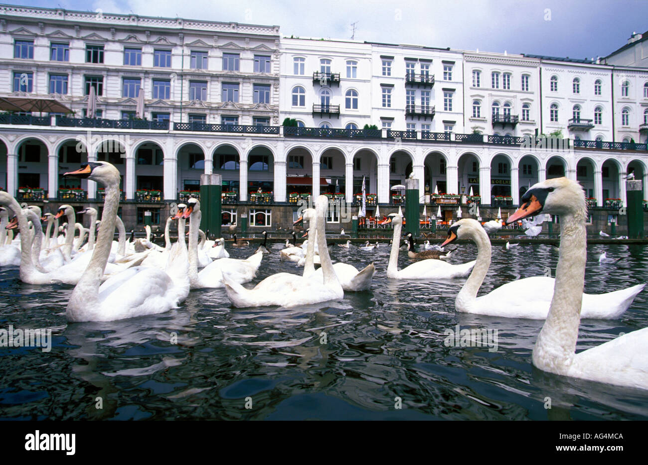 Alster lake in front hamburg hi-res stock photography and images - Alamy