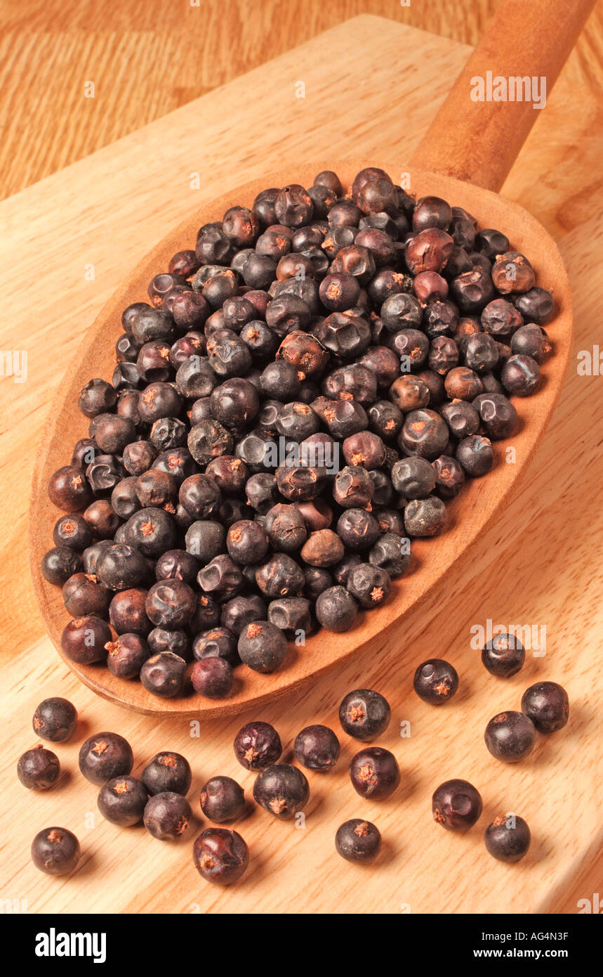 DRIED JUNIPER BERRIES Stock Photo - Alamy
