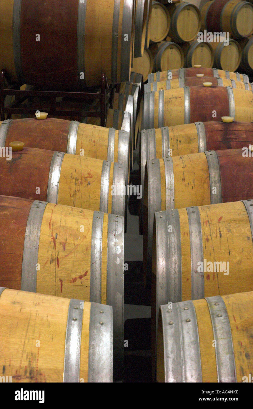 The barrel room of Ysios's state-of-the-art vinification plant Stock ...