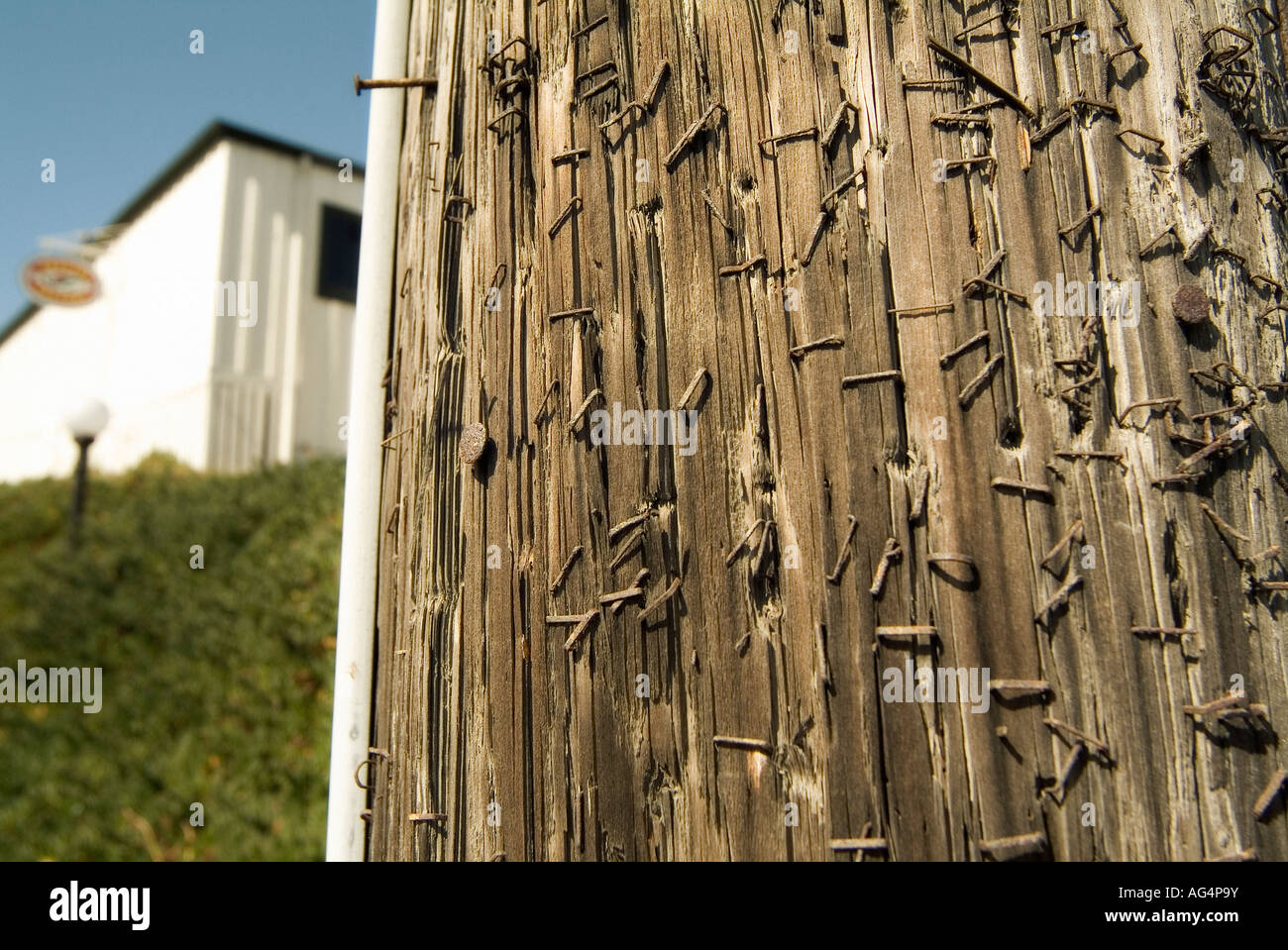 Cannery Row area. Monterey. California State. USA Stock Photo - Alamy
