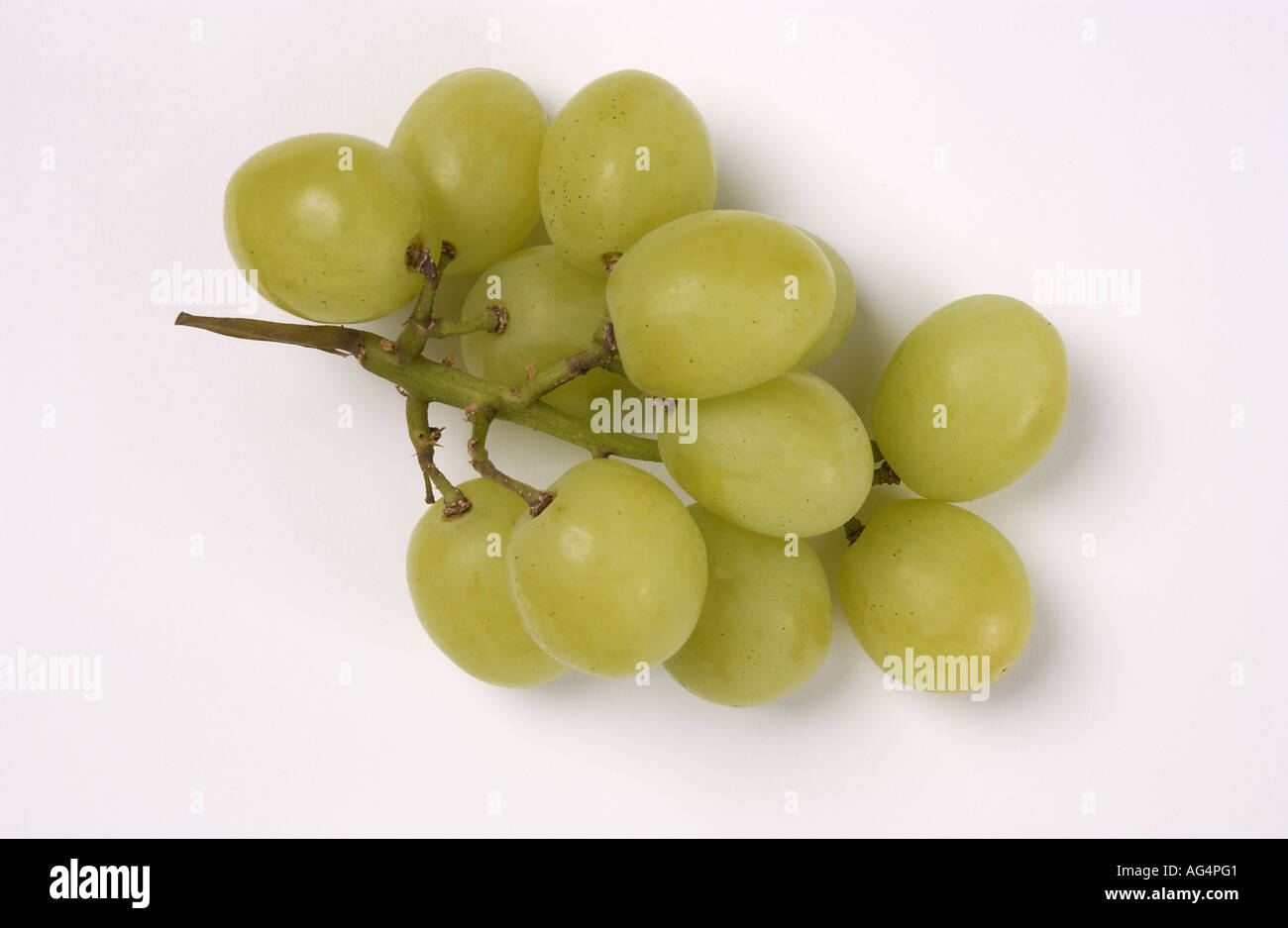 Vendage hi-res stock photography and images - Alamy