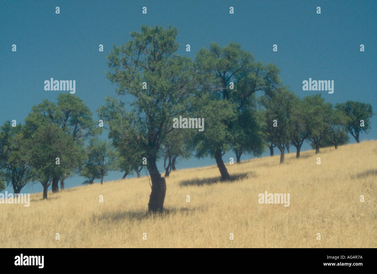 Colours bleached by sun hi-res stock photography and images - Alamy