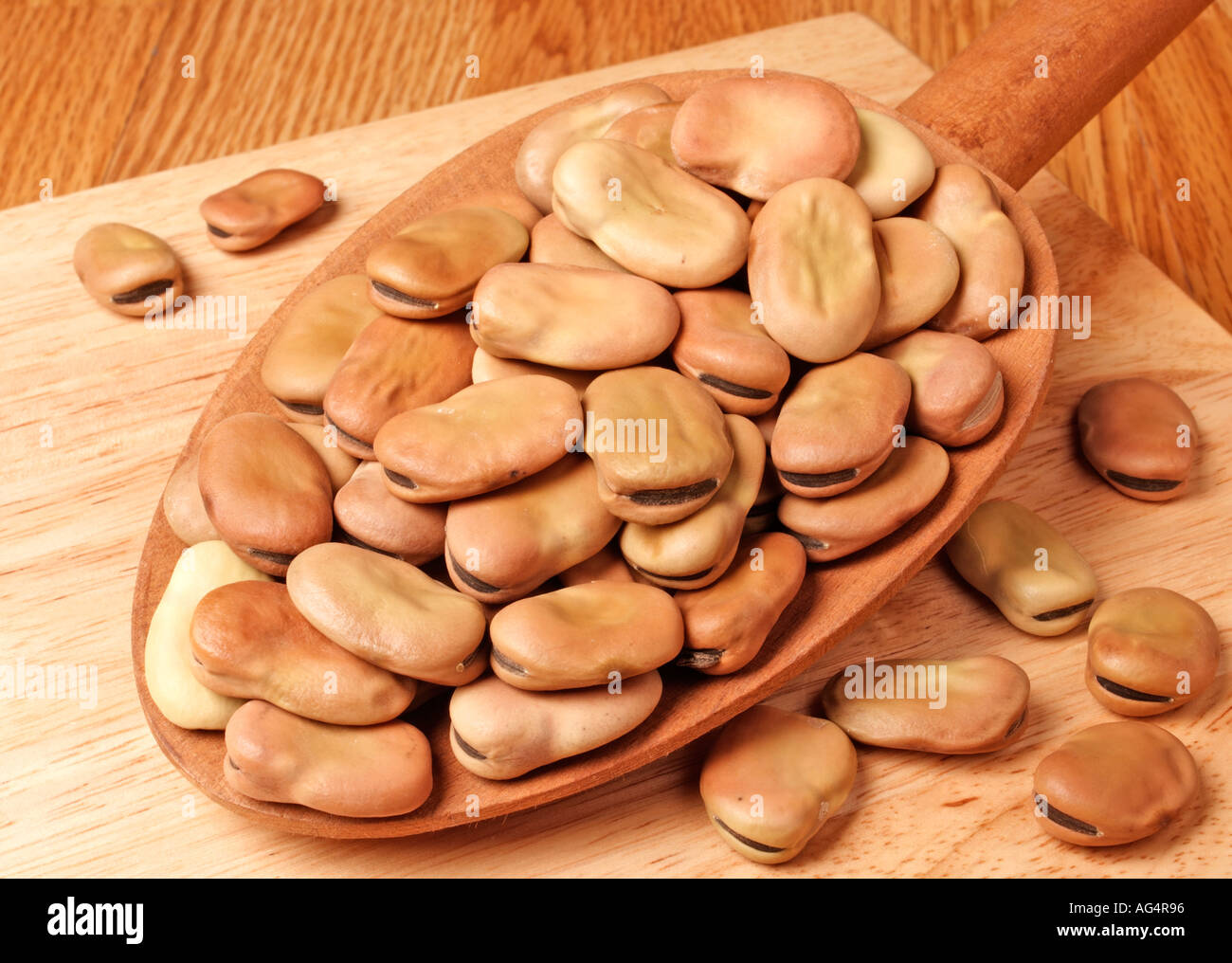 Habas hi-res stock photography and images - Alamy