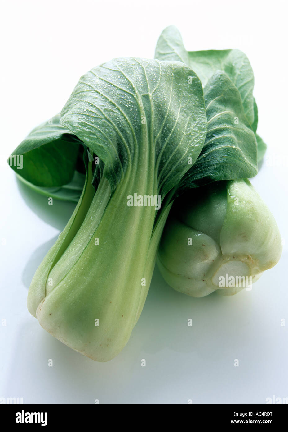 Two pak choi on a white background Stock Photo - Alamy