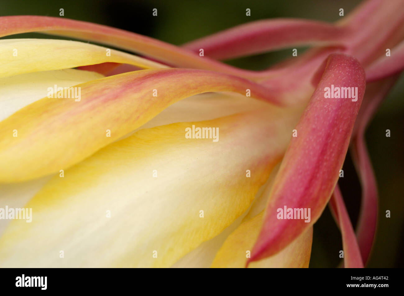 Isun hi-res stock photography and images - Alamy