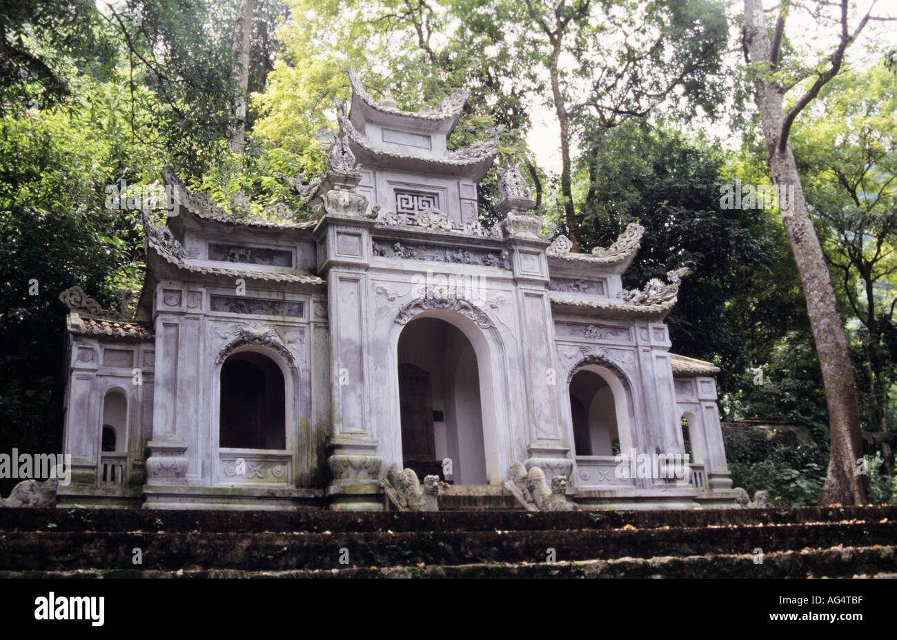 Northern vietnamese jungle hi-res stock photography and images - Alamy