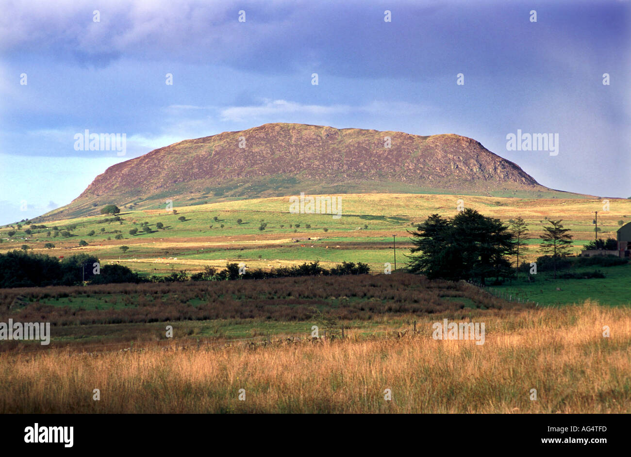 Slemish mountain county antrim hi-res stock photography and images - Alamy