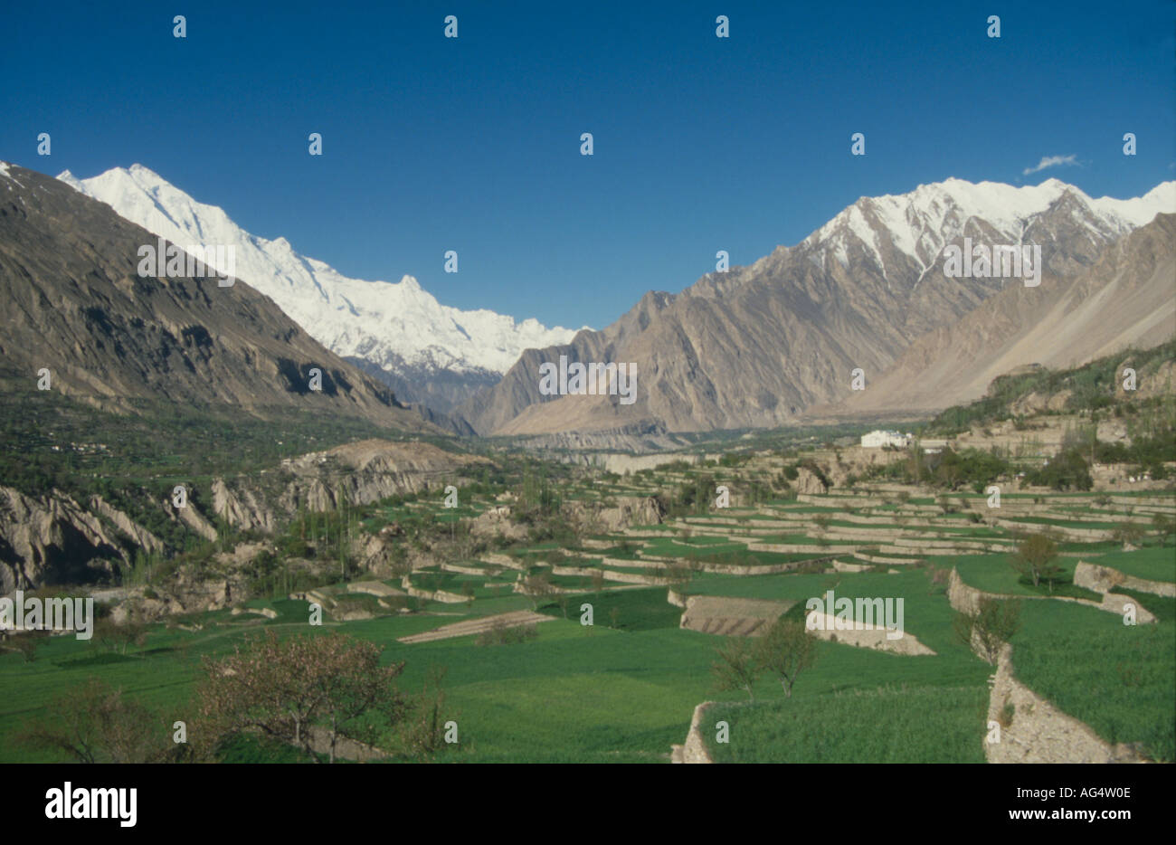 View of Mount Rakaposhi and the Hunza Valley showing terraced fields of ...