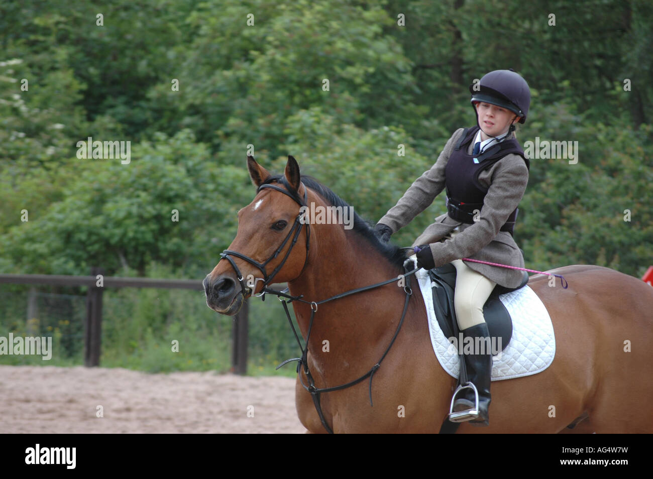 Girl riding at a showjumping competition Stock Photo - Alamy