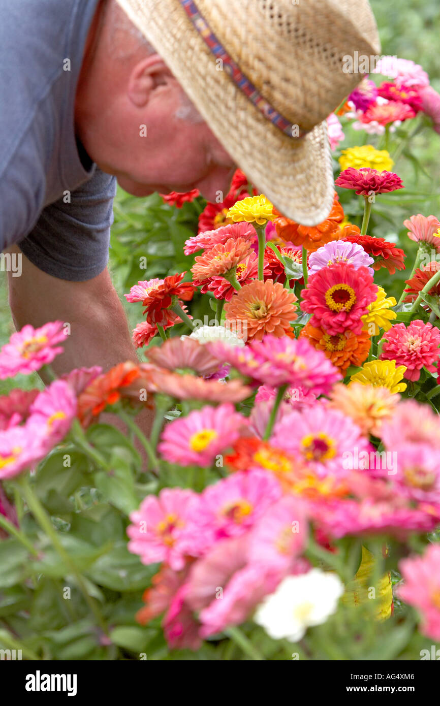 Man planting wild flowers Stock Photo - Alamy