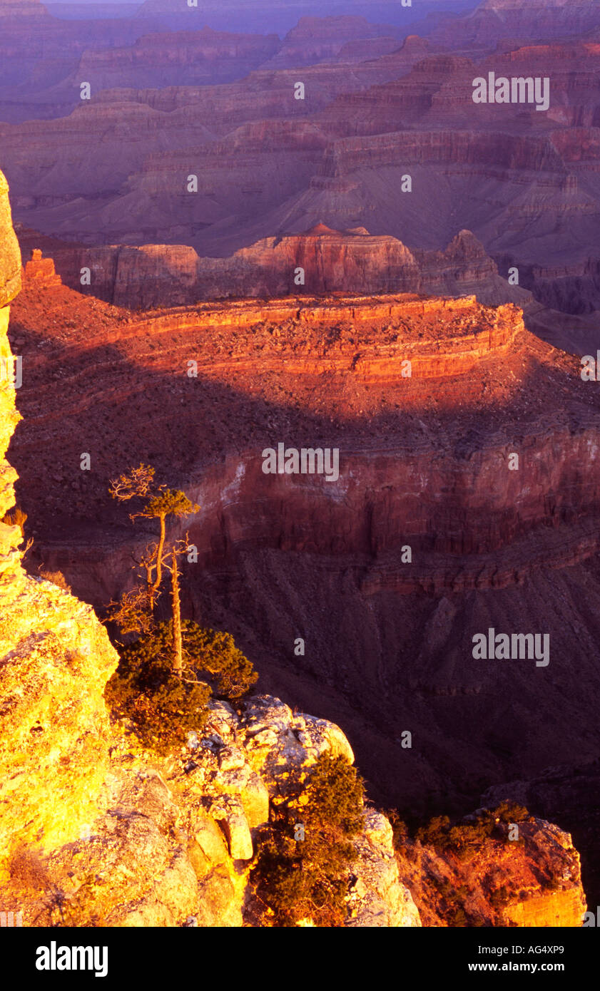 Yavapai observation station grand hi-res stock photography and images ...