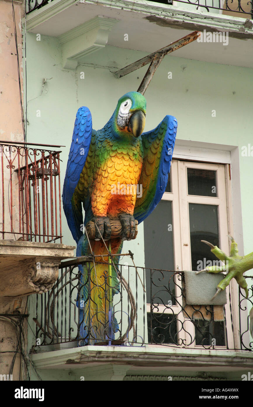 Giant artificial parrot on a balcony at an old house at el Casco Viejo ...