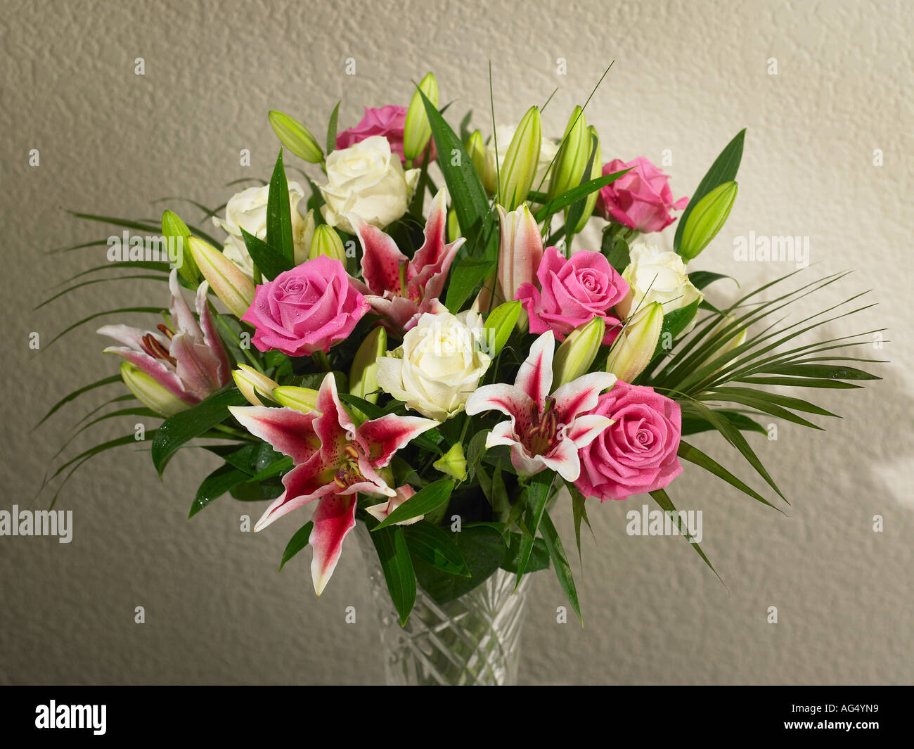 Cream perfumed flowers hi-res stock photography and images - Alamy