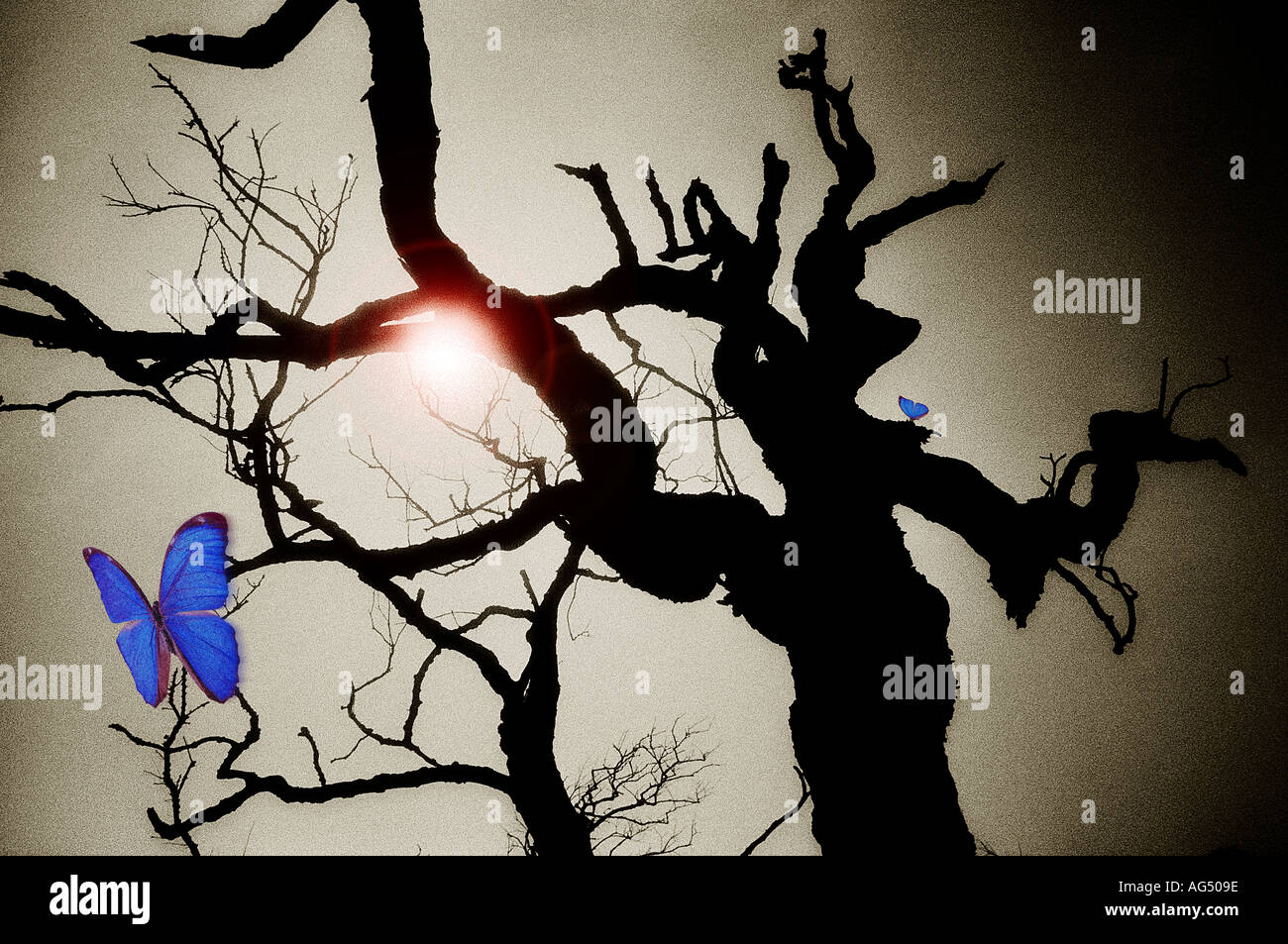 Tree of butterflies hi-res stock photography and images - Alamy