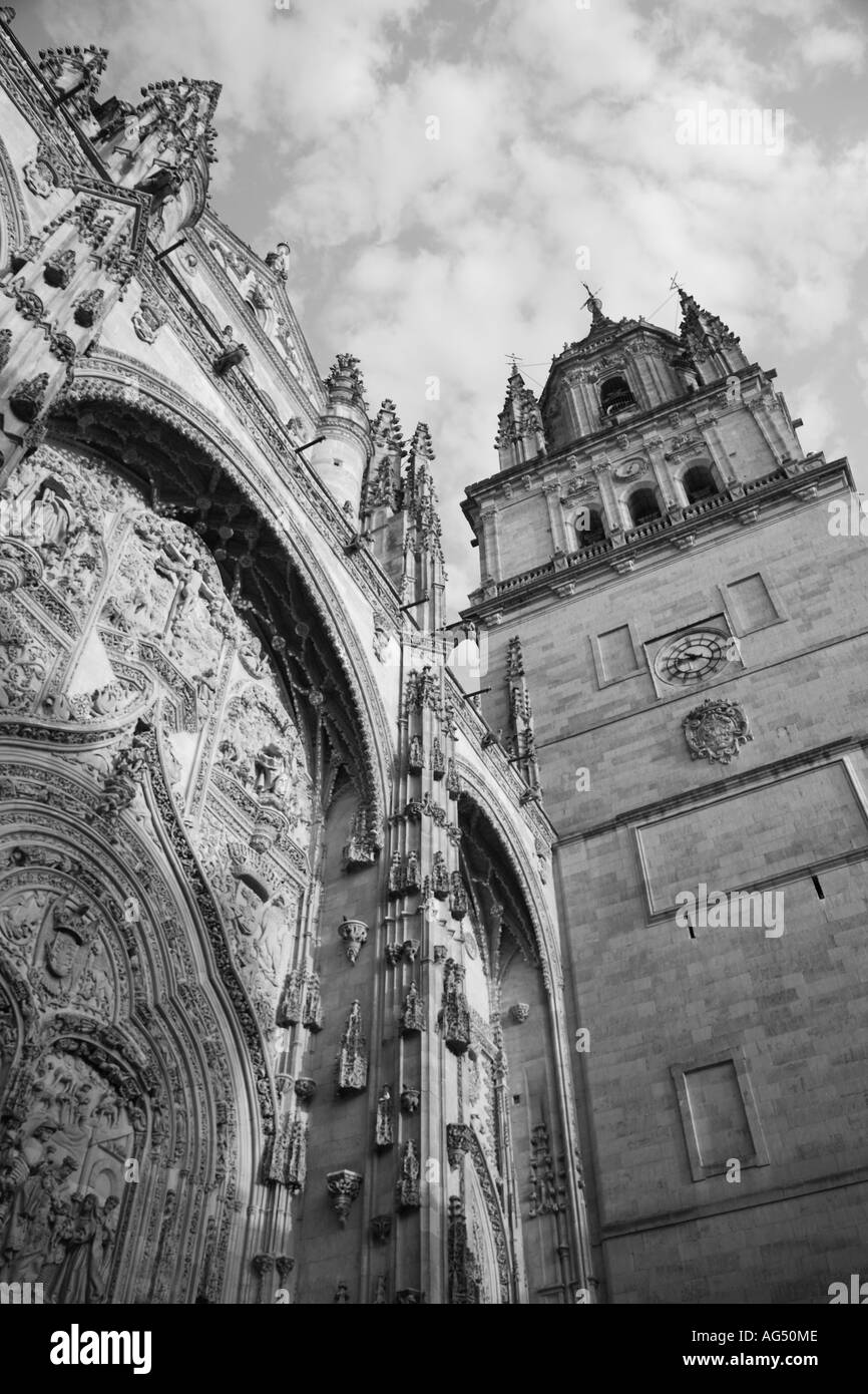 New leon Black and White Stock Photos & Images - Alamy