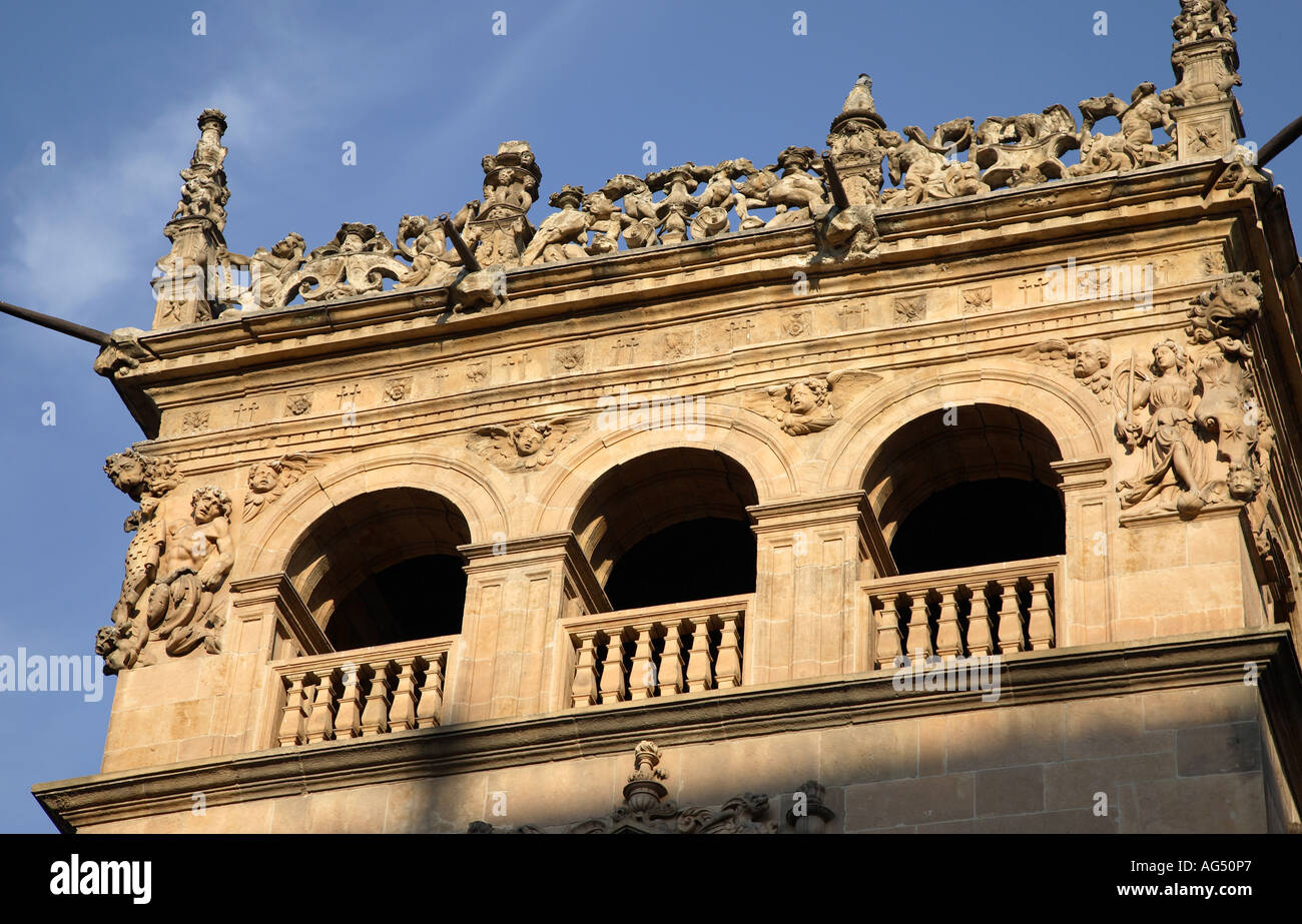 Palacio Monterrey Palace, Salamanca, Castile and Leon, Spain Stock ...