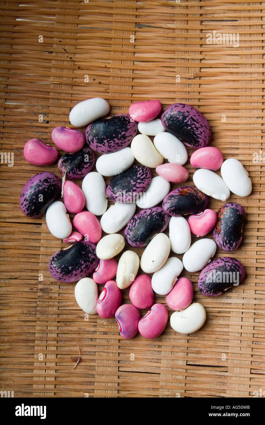 Three types of seeds hi-res stock photography and images - Alamy