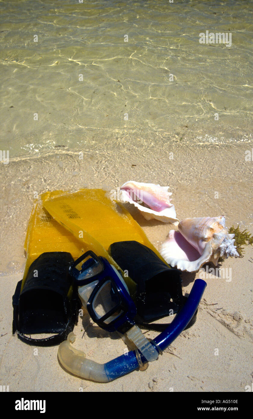 Snorkelling equipment and conch shells on a beach Caribbean Stock Photo ...