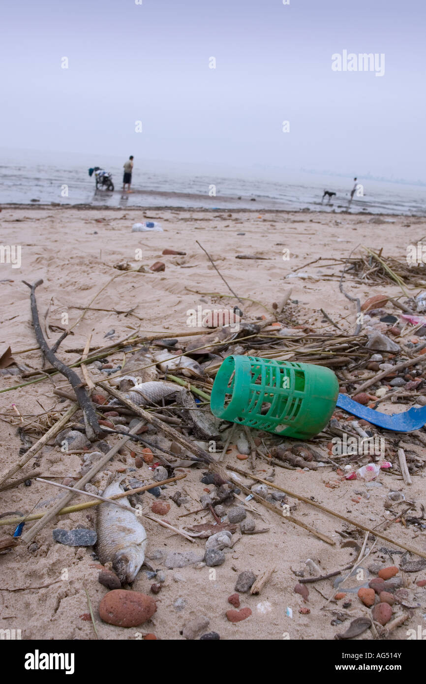 A Polluted Beach Stock Photo - Alamy