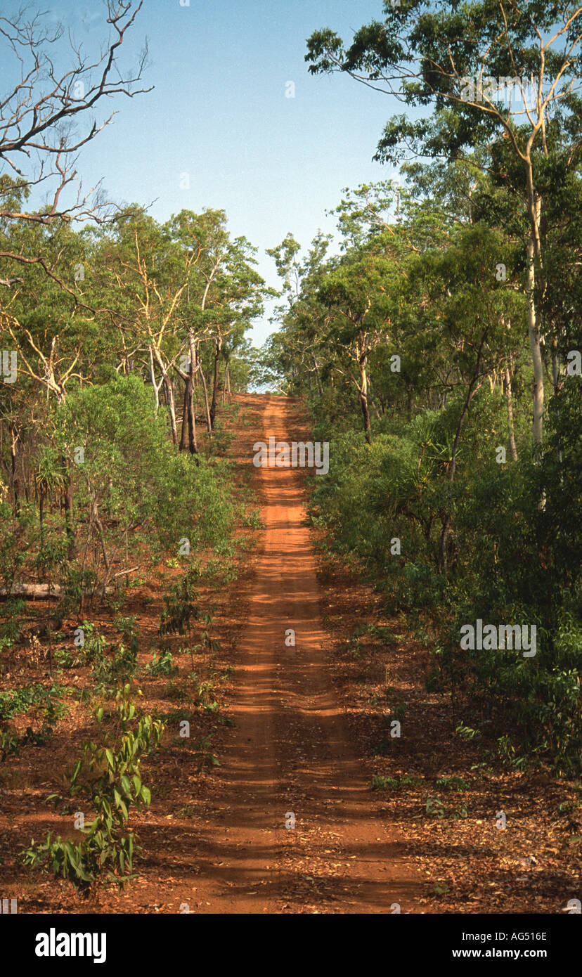 Australia Dirt Track Forest High Resolution Stock Photography and ...
