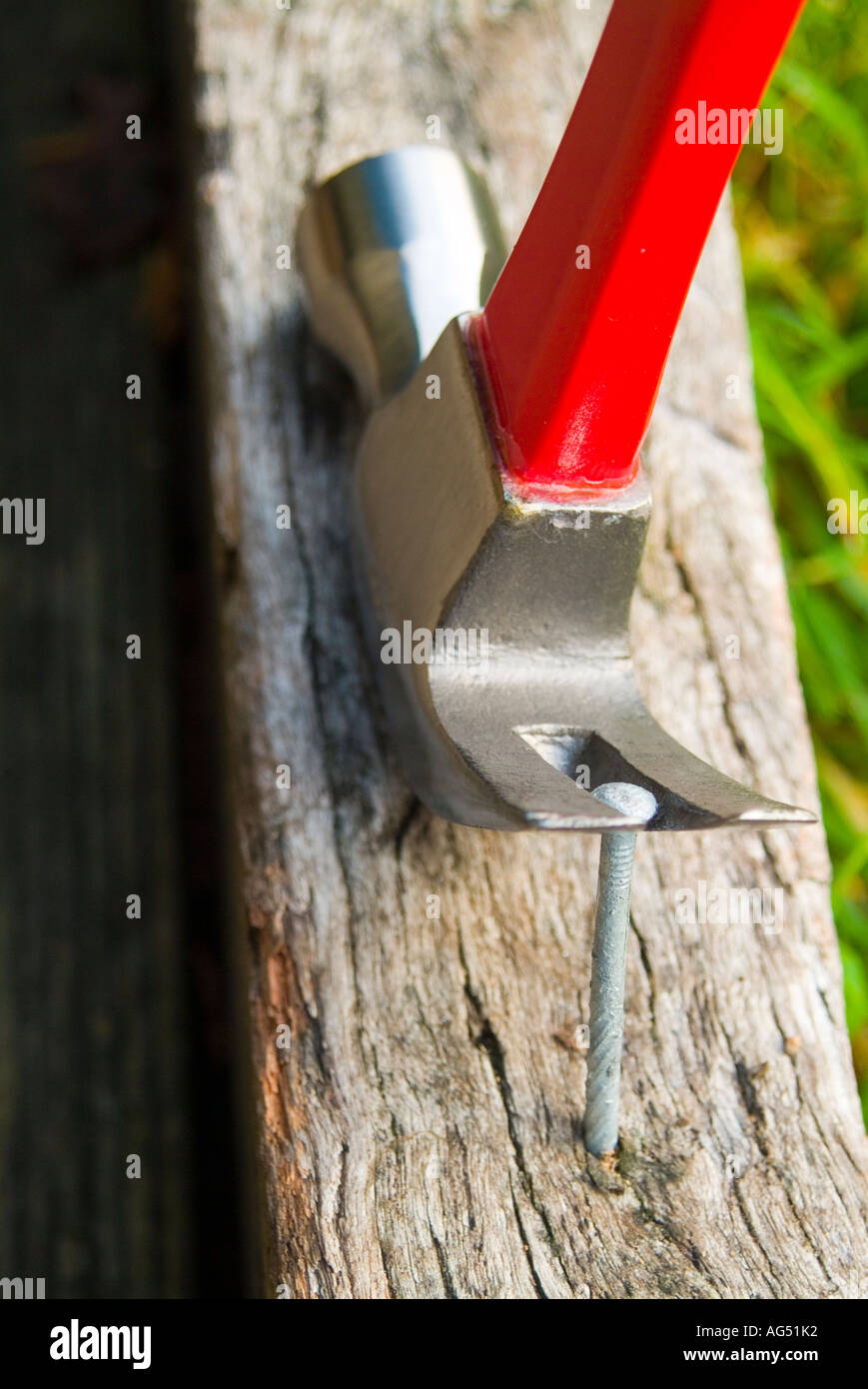 Claw hammer pulling large nail Stock Photo - Alamy