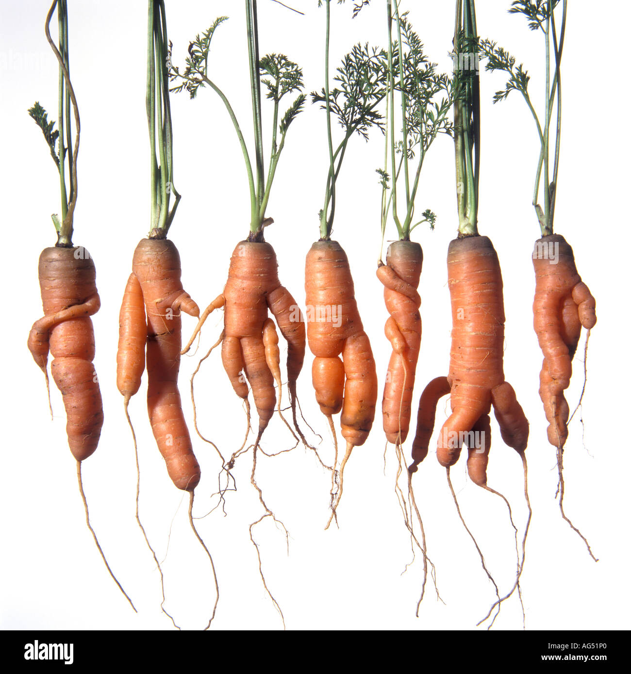 Odd carrot hi-res stock photography and images - Alamy