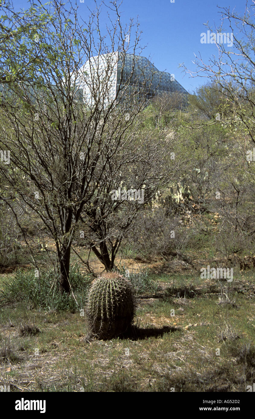 Biosphere 2 Sonoran Desert Arizona USA General View with cactus Stock ...