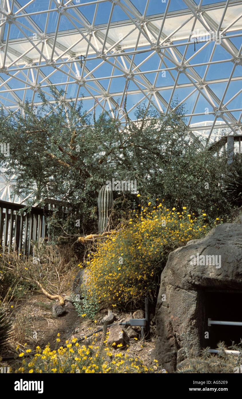 Biosphere 2 Sonoran Desert Arizona USA Desert Section Interior Stock ...