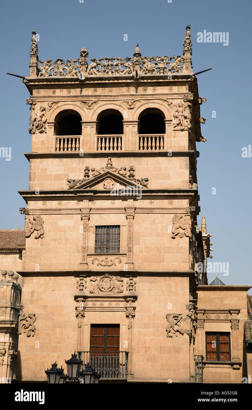 Palacio de Monterrey Palace, Salamanca, Castile and Leon, Spain Stock ...