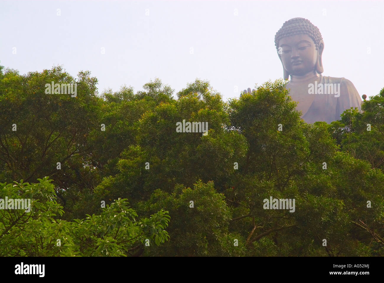 Po Lin Monastery Hong Kong Big Buddha Trees and the Big Buddha Stock ...