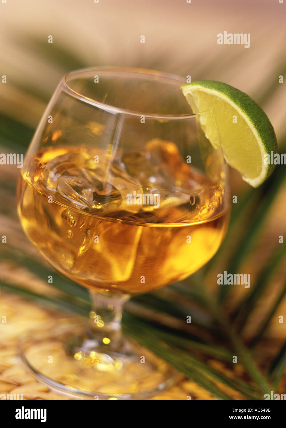 Party rum lime Jamaican Caribbean Alcohol Alcoholic Beverage Spirit ...