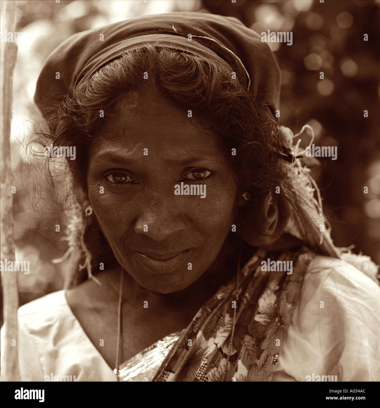 Tea picker Sri Lanka Ceylon women worker plantation Asia Stock Photo ...