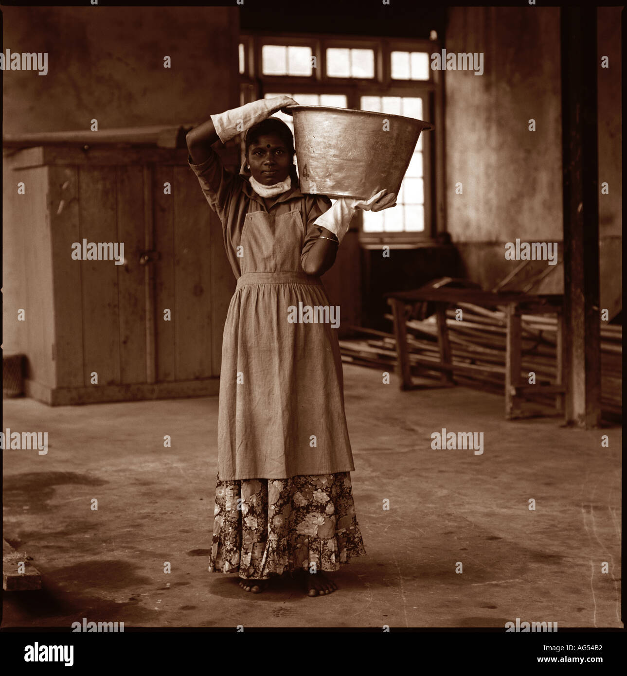 Tea picker Sri Lanka Ceylon women worker plantation Asia Stock Photo ...