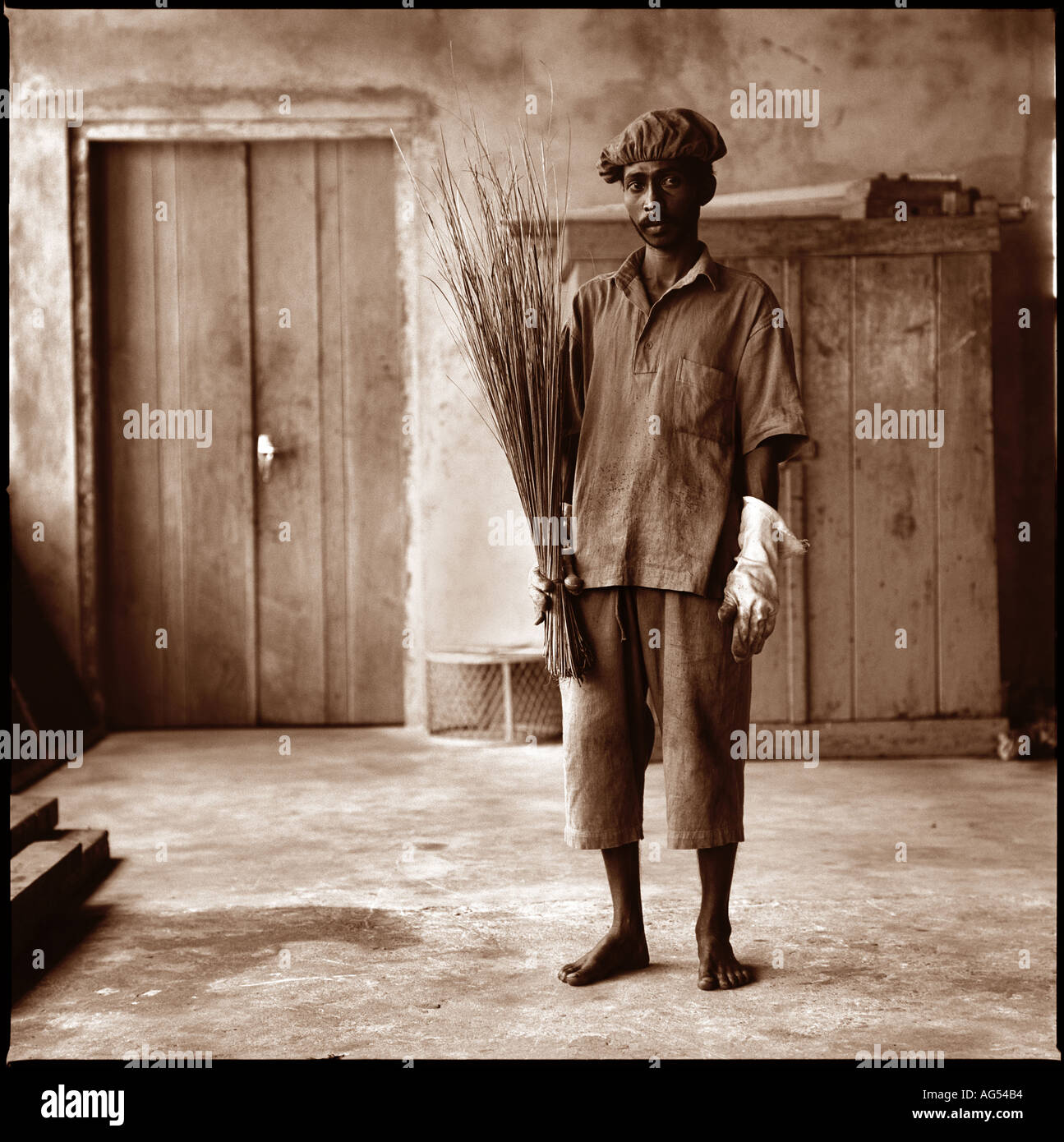 Tea picker Sri Lanka Ceylon women worker plantation Asia Stock Photo ...