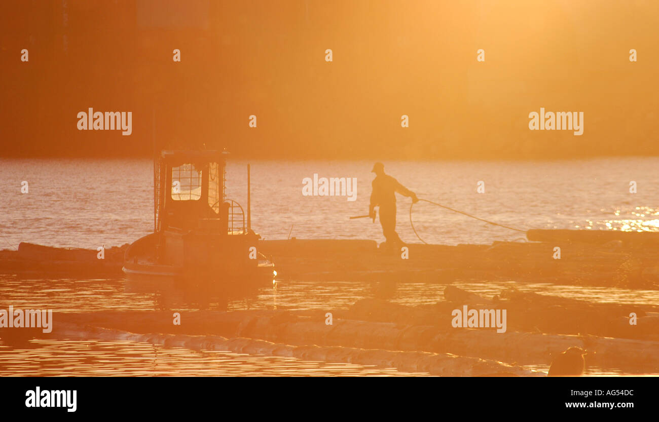 Log booming hi-res stock photography and images - Alamy