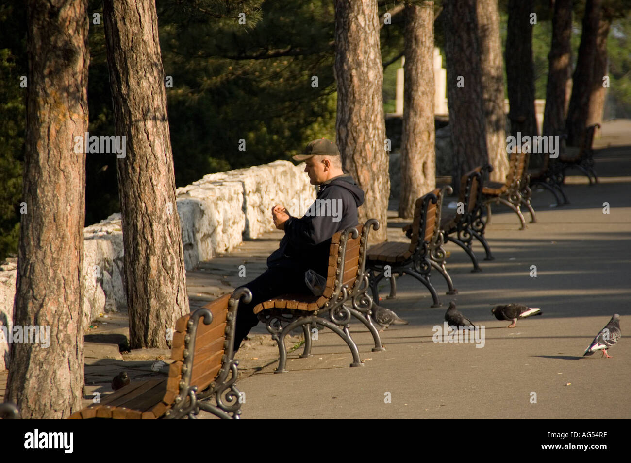Man relaxing on a bench at the Kalemegdan Fort in Belgrade Stock Photo ...
