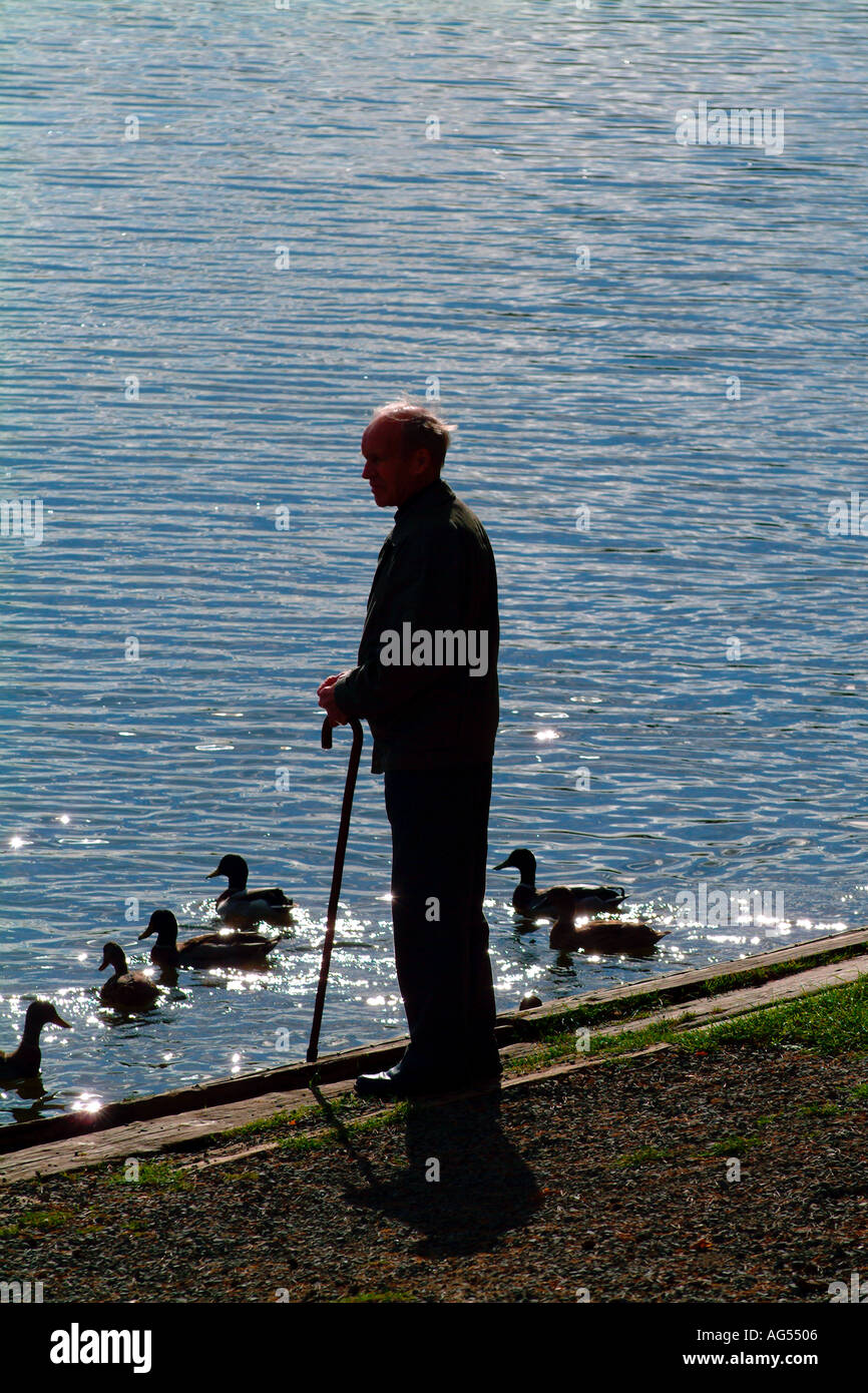 Elderly feeding ducks hi-res stock photography and images - Alamy