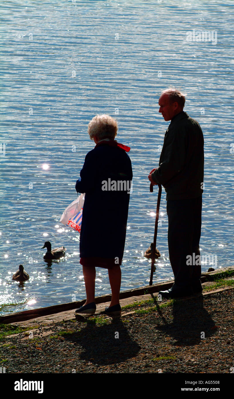 Old woman feeding ducks hi-res stock photography and images - Alamy