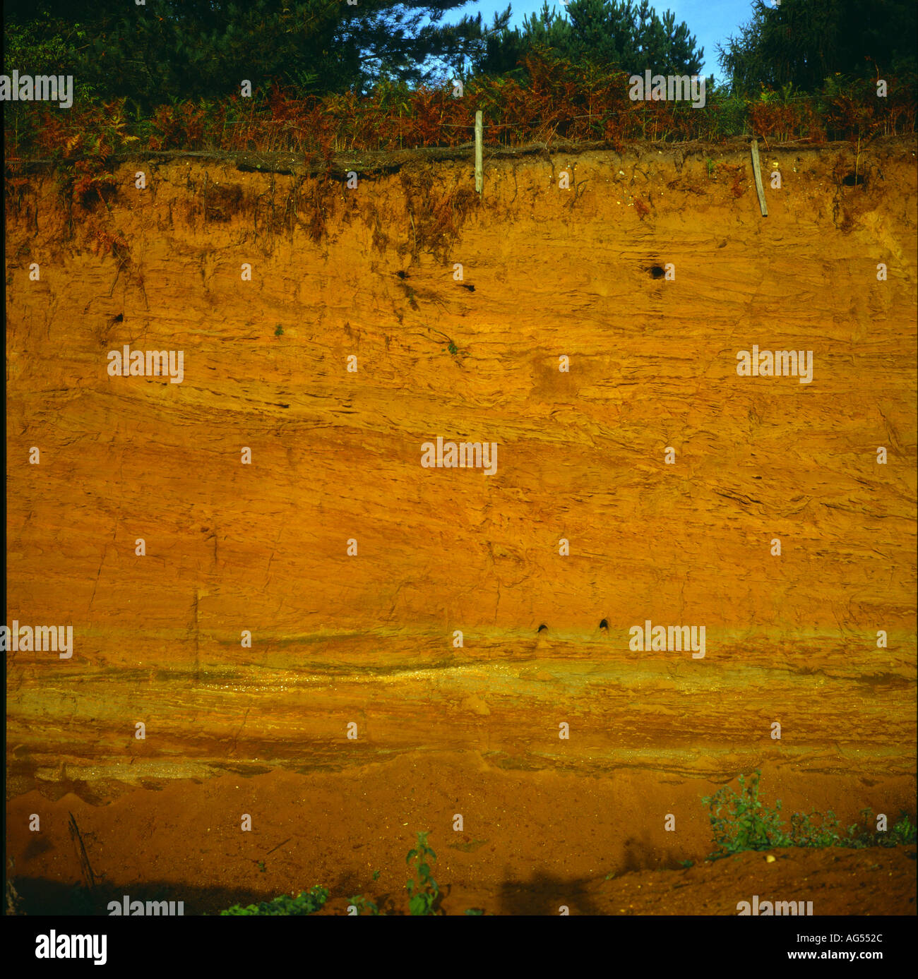 Soil Cross Section High Resolution Stock Photography and Images - Alamy