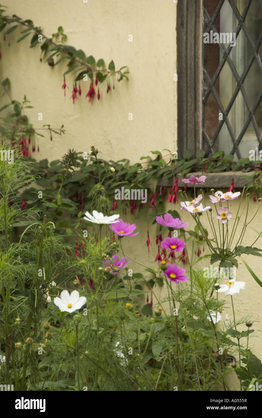 Cottage garden with flowers and rustic windows Stock Photo - Alamy