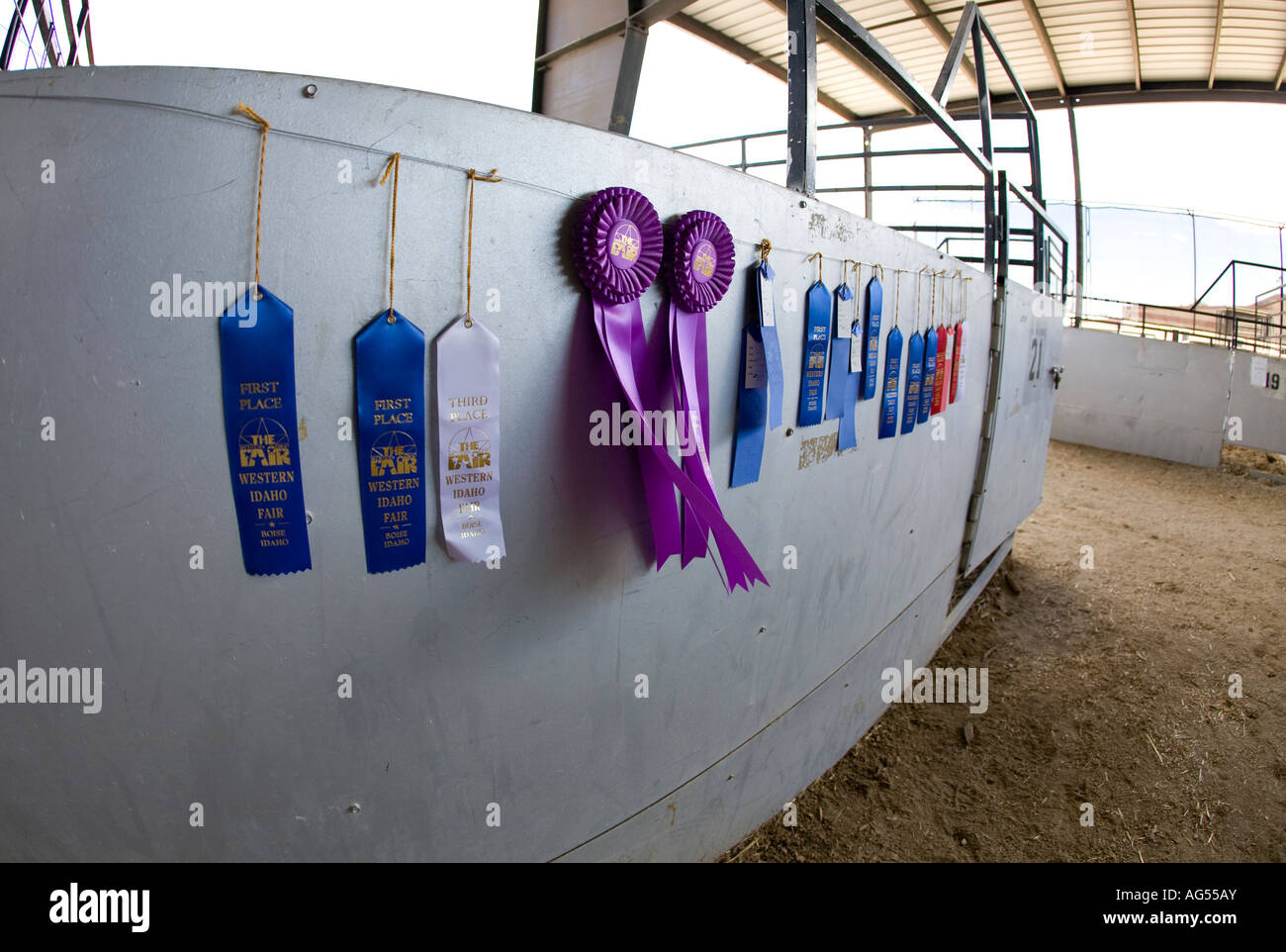 Colorful ribbons on stall wall at Western Idaho Fair Stock Photo - Alamy